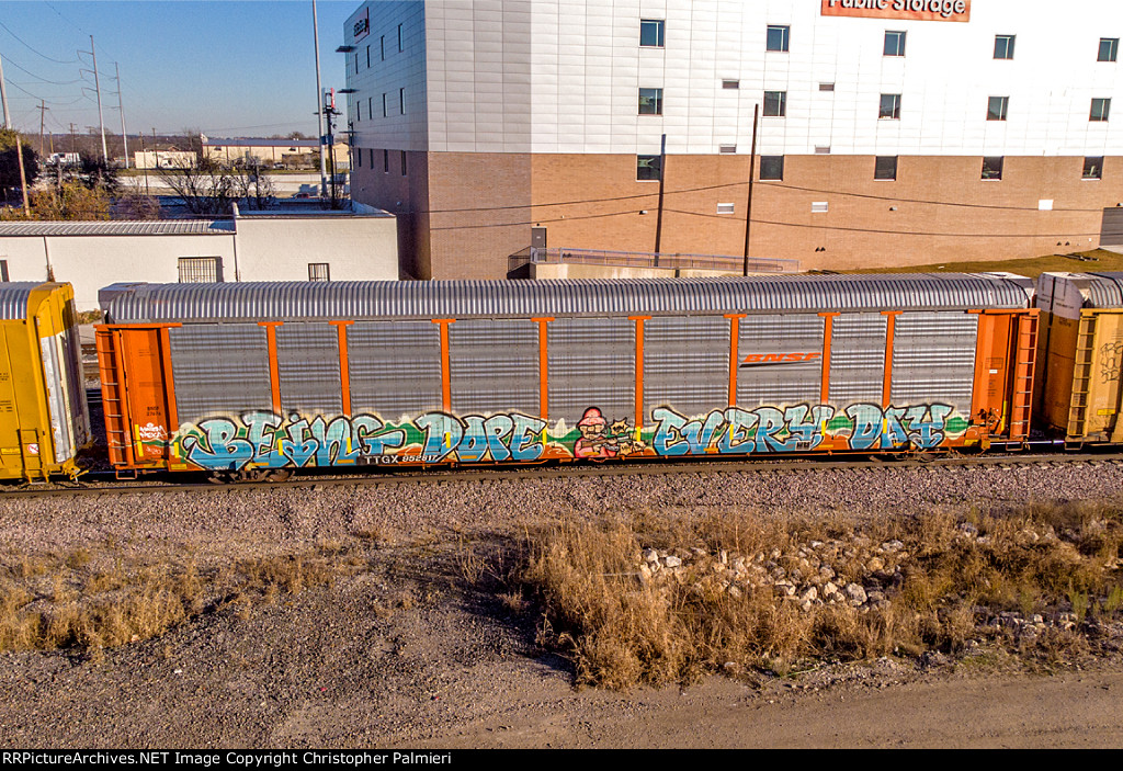 TTGX 952817 on V-ALTSNT4-05